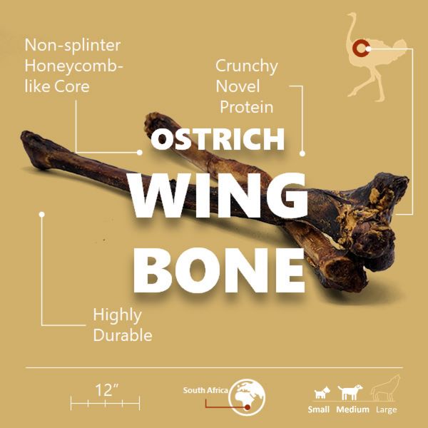 Ostrich Wing Bone (13" x 1.5"): The Ultimate Long-Lasting Chew for Sma