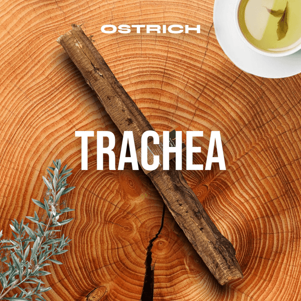 Crunchy Ostrich Trachea Whole. Light-weight, Natural Dog Chew Treat by