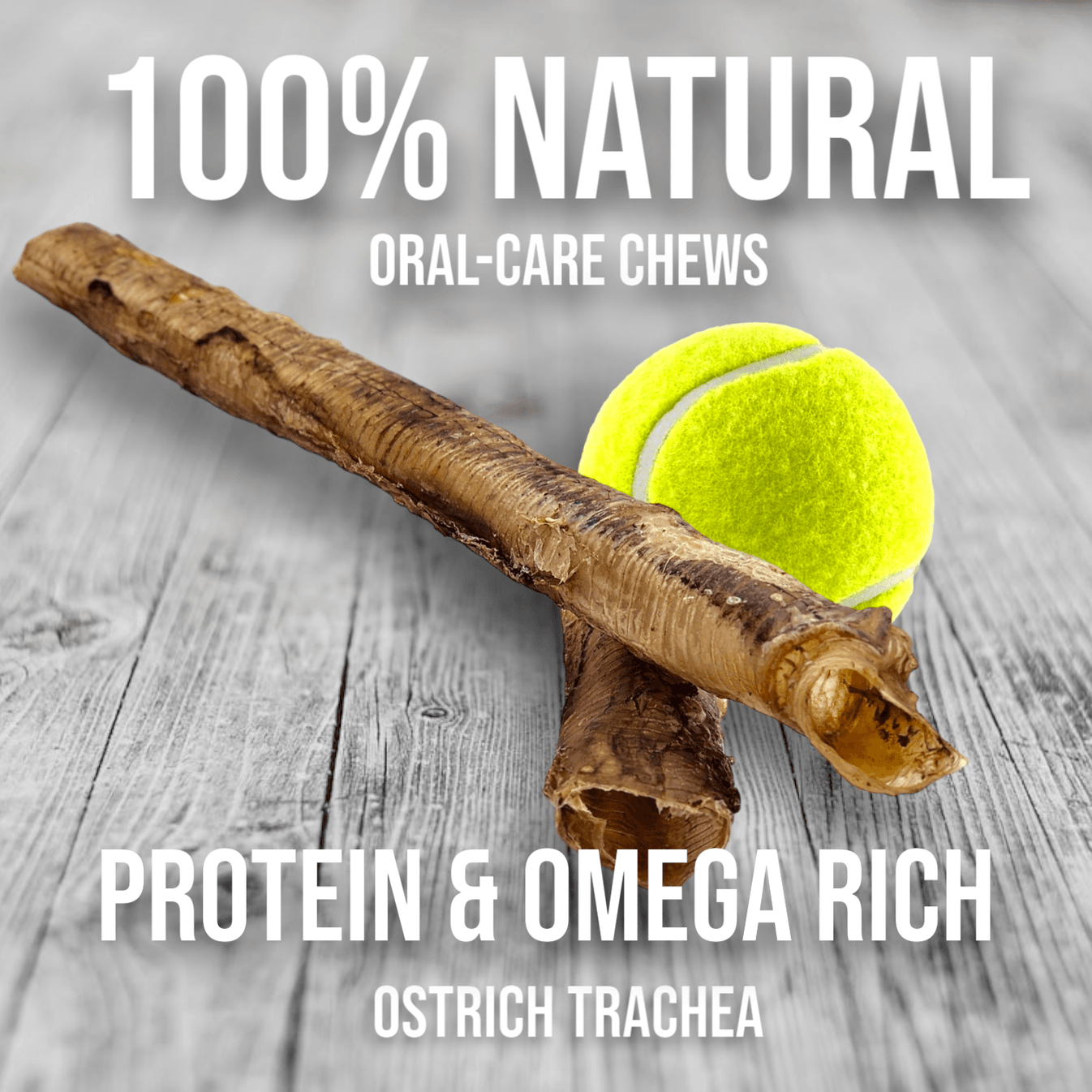 Crunchy Ostrich Trachea Whole. Light-weight, Natural Dog Chew Treat by