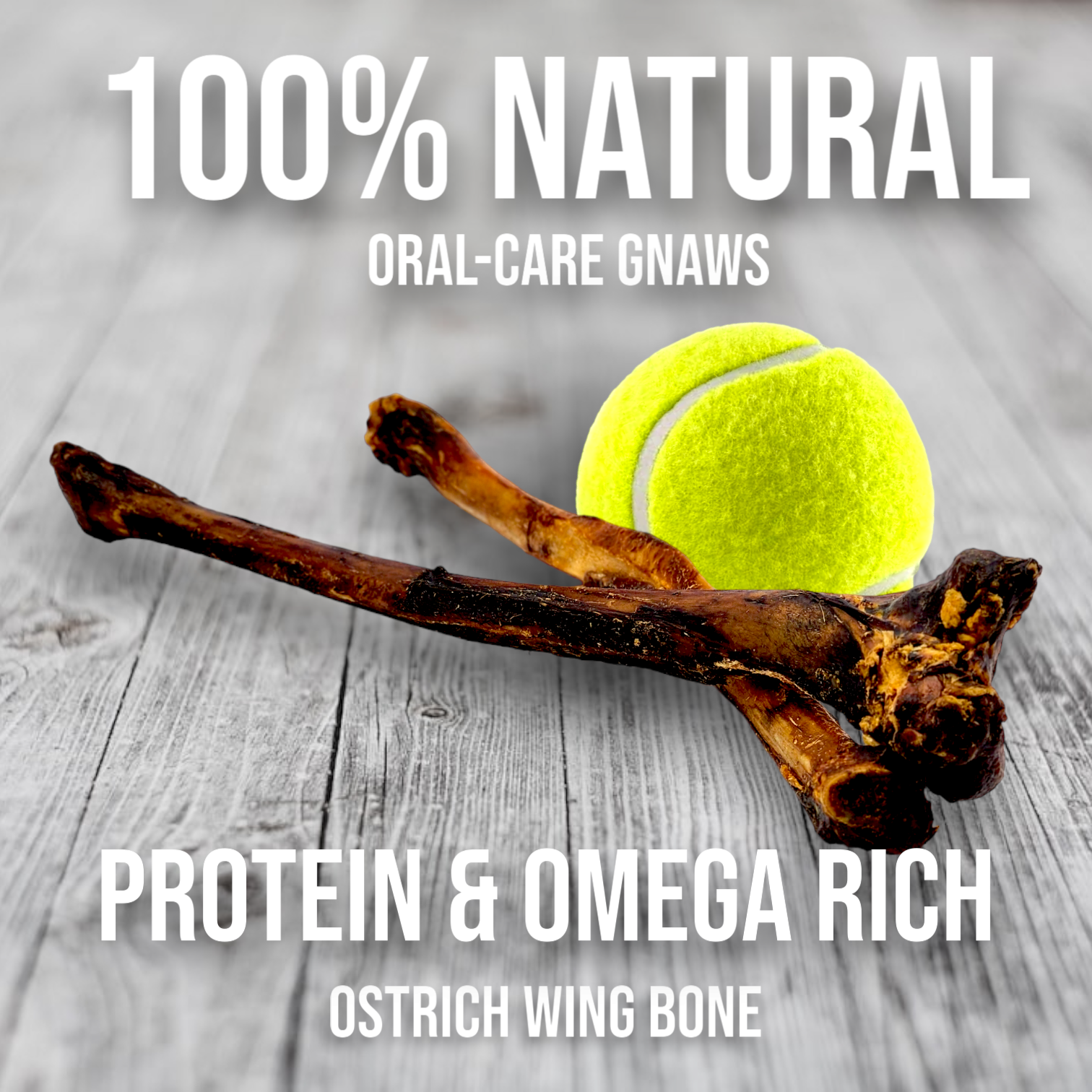 Ostrich Wing Bone (13" x 1.5"): The Ultimate Long-Lasting Chew for Sma